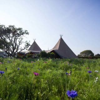 Summer Tipi Gallery | The Stunning Tents Company